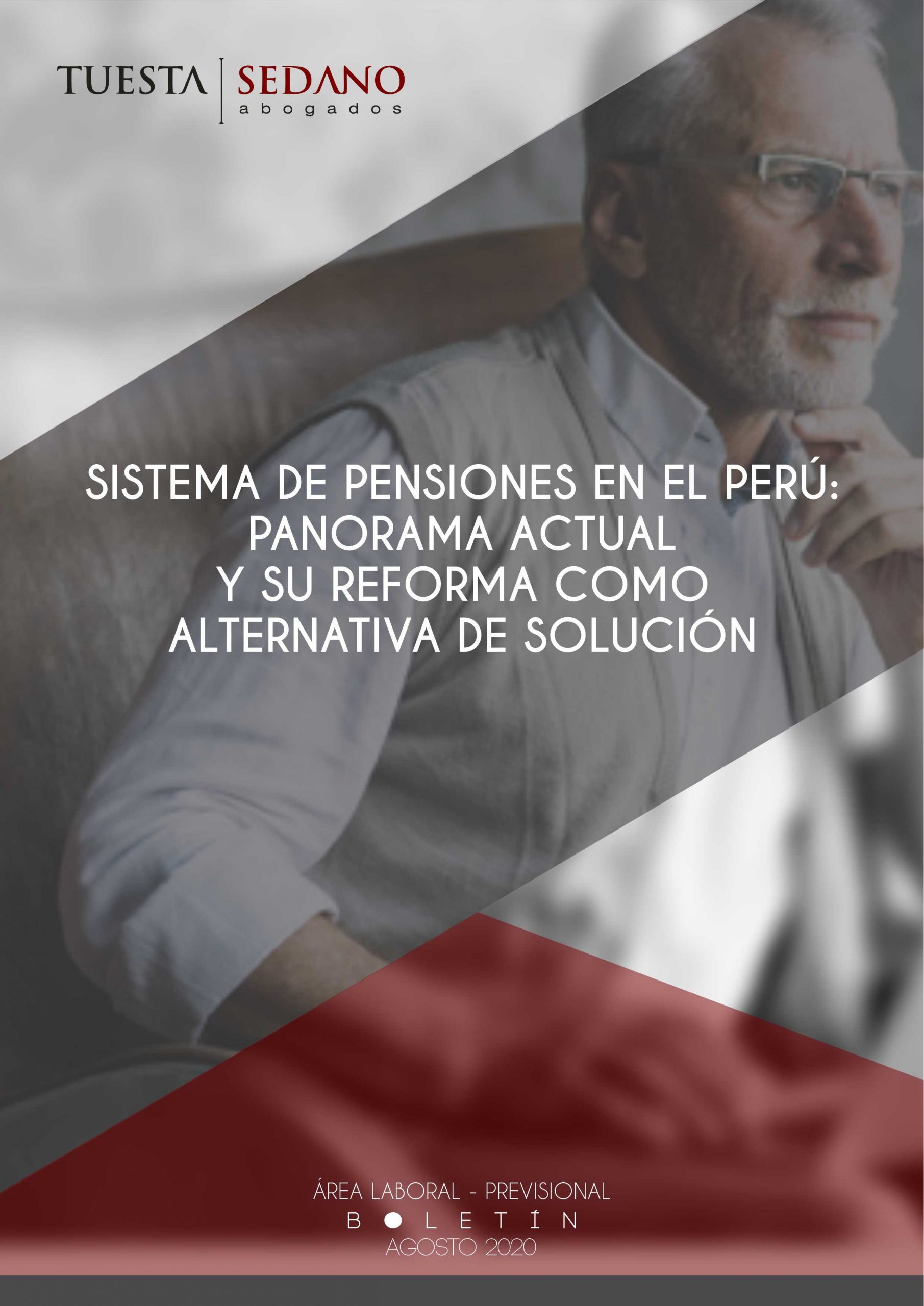 Sistema de Pensiones en el Perú: Panorama Actual y su Reforma como ...